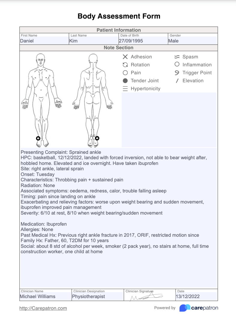 Body Assessment Form Example Free PDF Download
